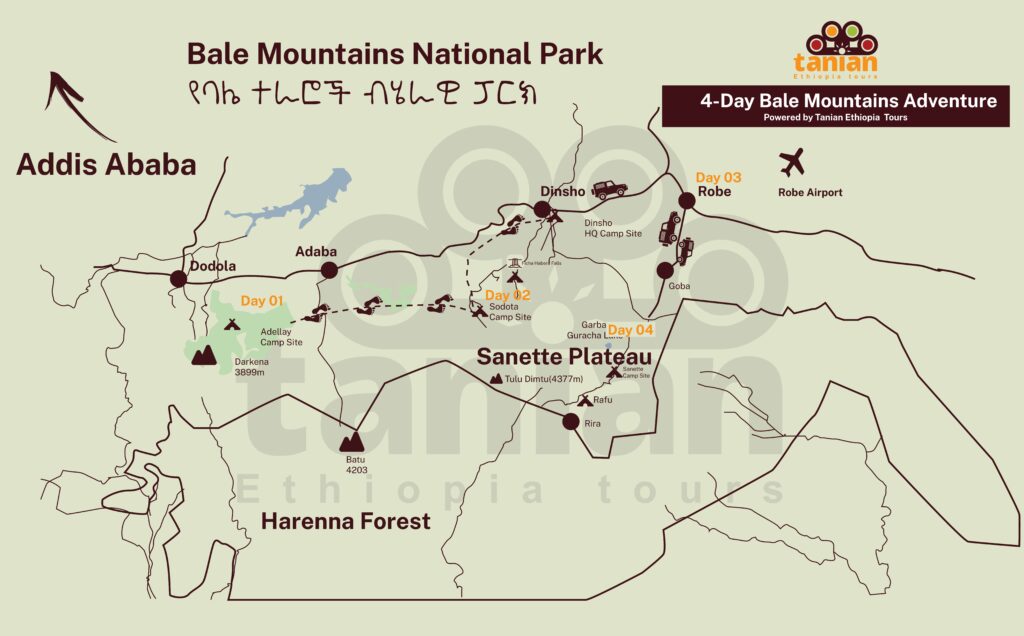 A Four-Day Bale Mountains Adventure - Tanian Ethiopia Tours
