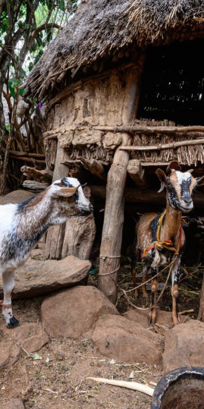 Konso Tribe & Konso Village - Tanian Ethiopia Tours