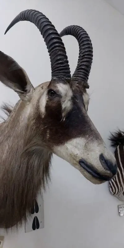 Addis Ababa Museums - Tanian Ethiopia Tours